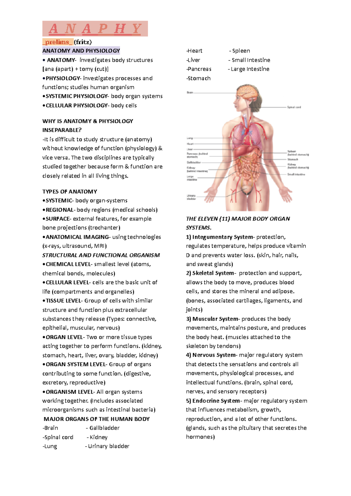 Anaphy Prelims - prelims (fritz) ANATOMY AND PHYSIOLOGY ANATOMY ...