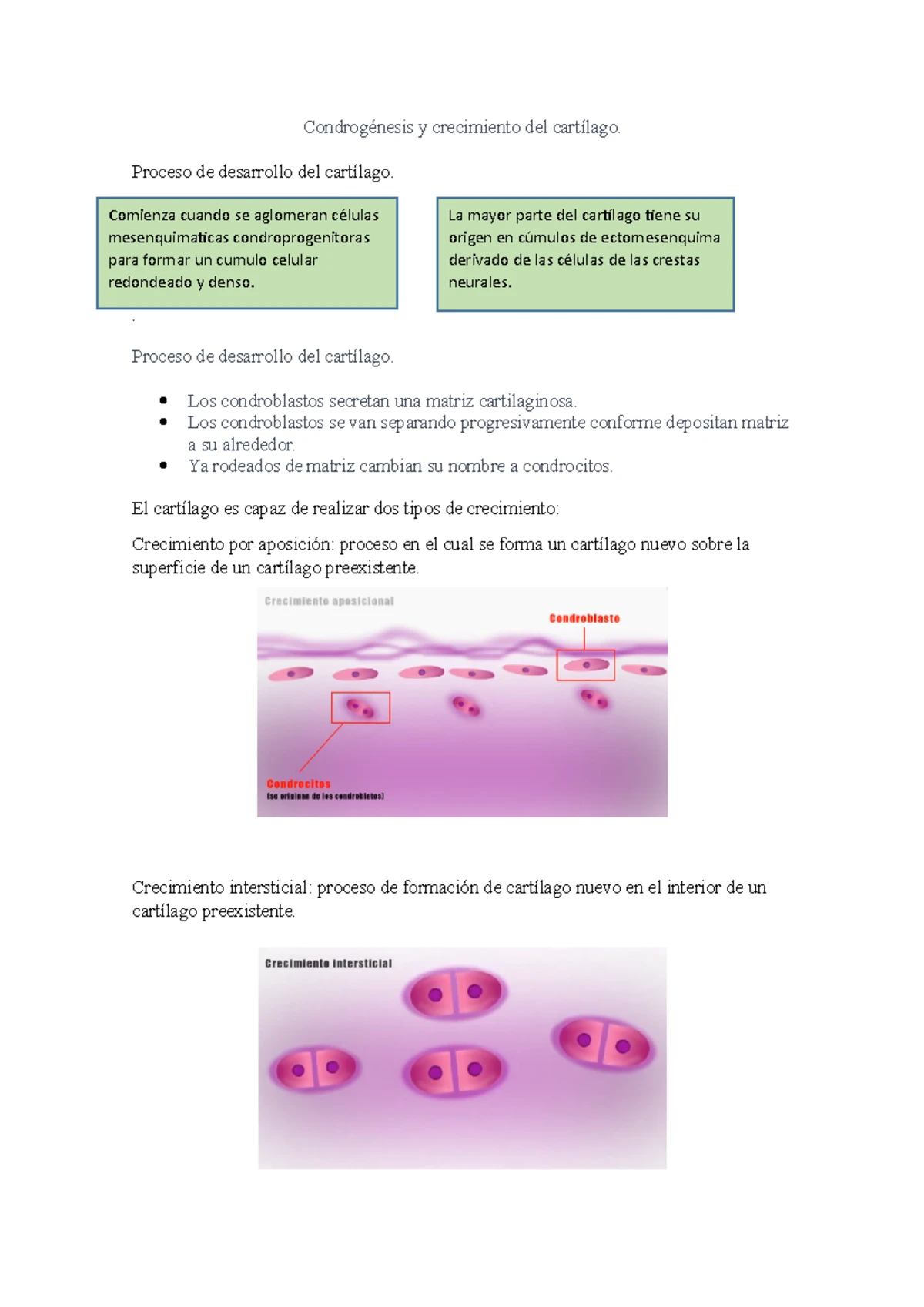 Studocu - Resúmenes, apuntes y preparación de exámenes gratis