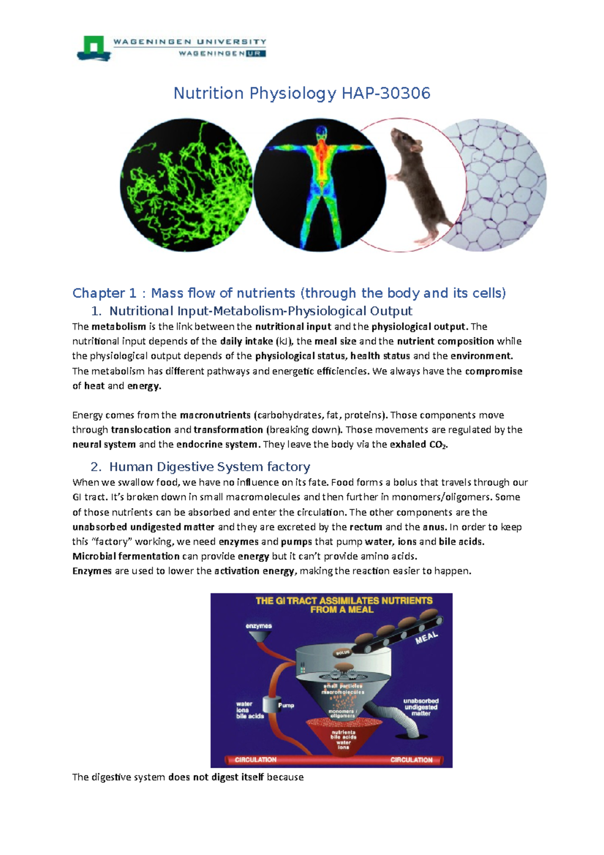 Synthèse Mag - summary of the course - Nutrition Physiology HAP- Chapter 1 : Mass flow of ...