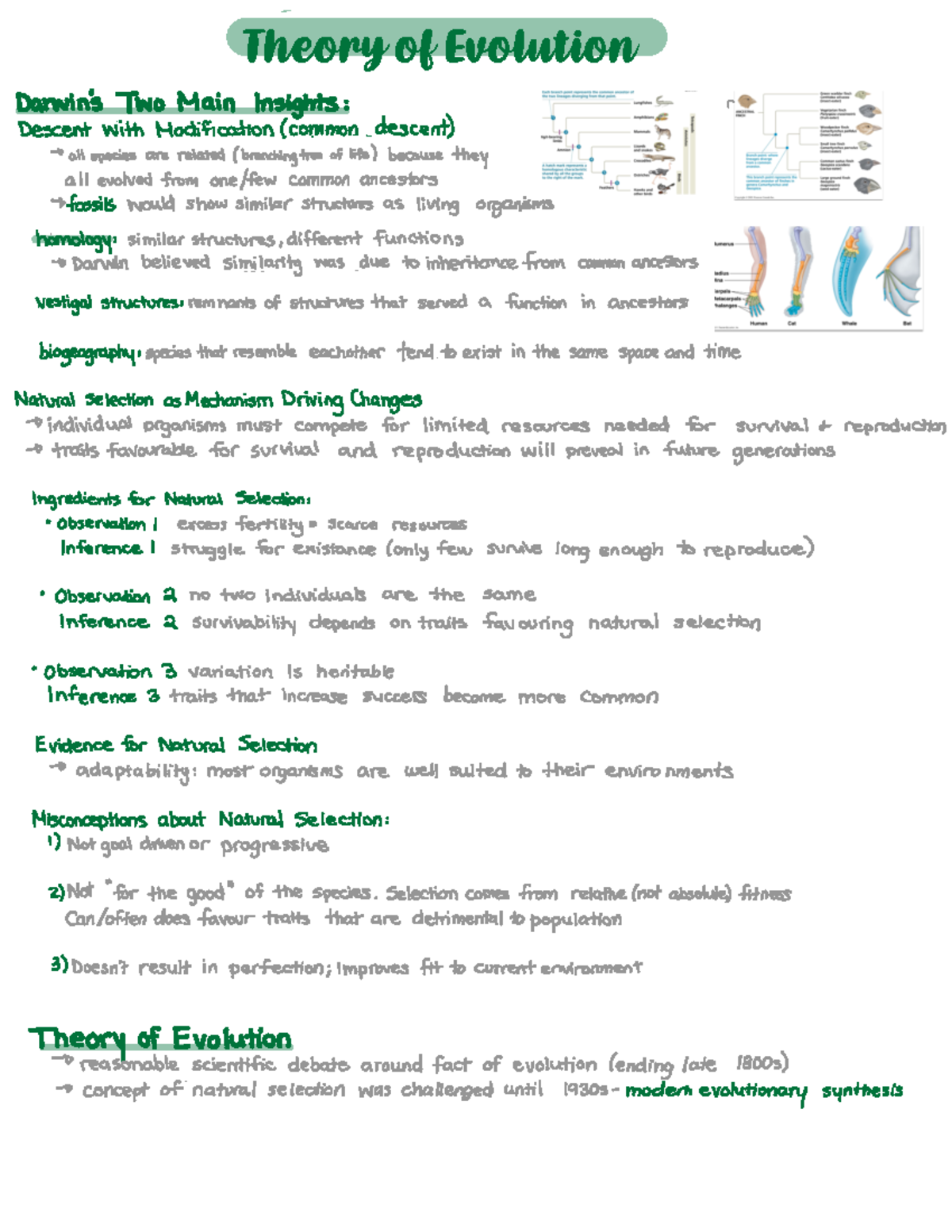 Theory OF Evolution - Darwin's Two Main Insights r Descent with ...