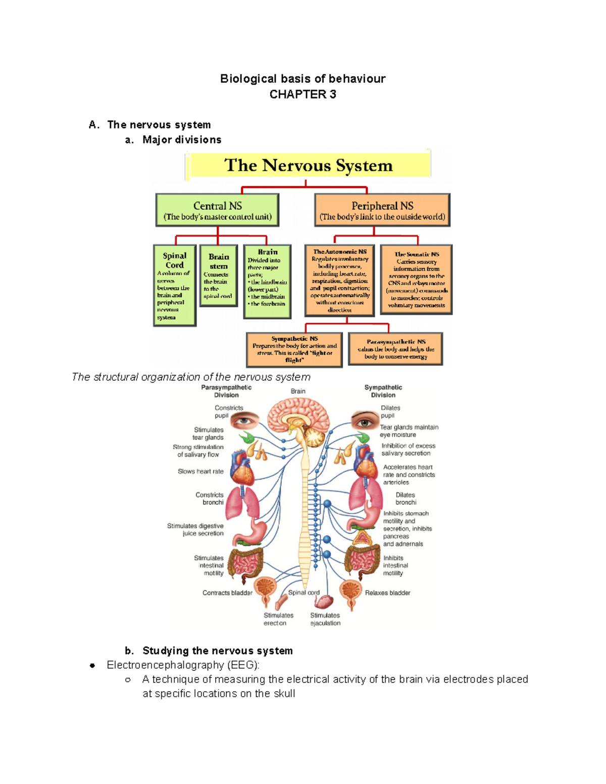 Chp. 3-Biological basis of behaviour - Biological basis of behaviour ...