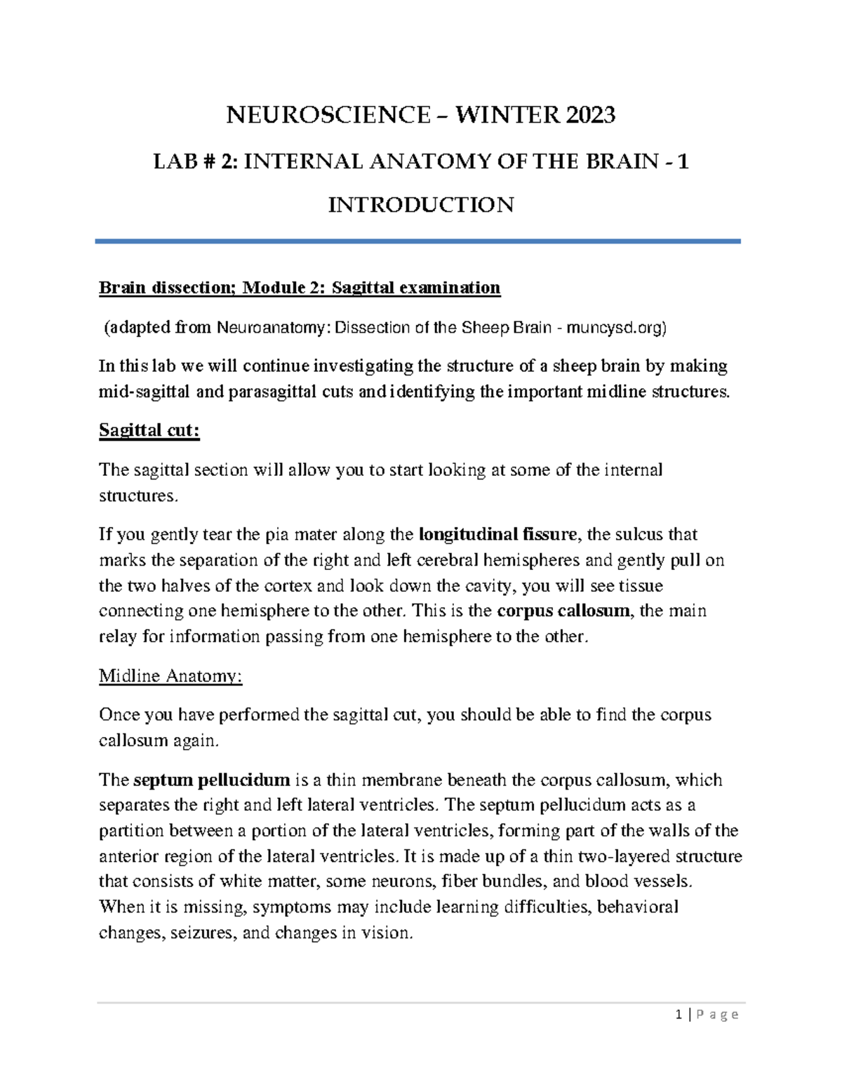 Lab 2- Lab Intro W2023 - NEUROSCIENCE – WINTER 2023 LAB # 2: INTERNAL ...