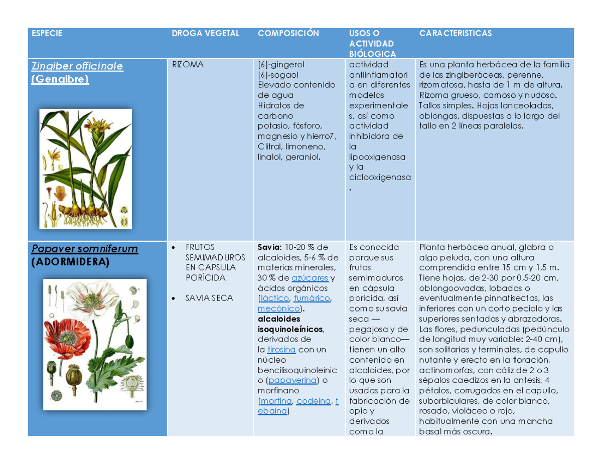 Tabla DE Plantas - ESPECIE DROGA VEGETAL COMPOSICI”N USOS O ACTIVIDAD ...
