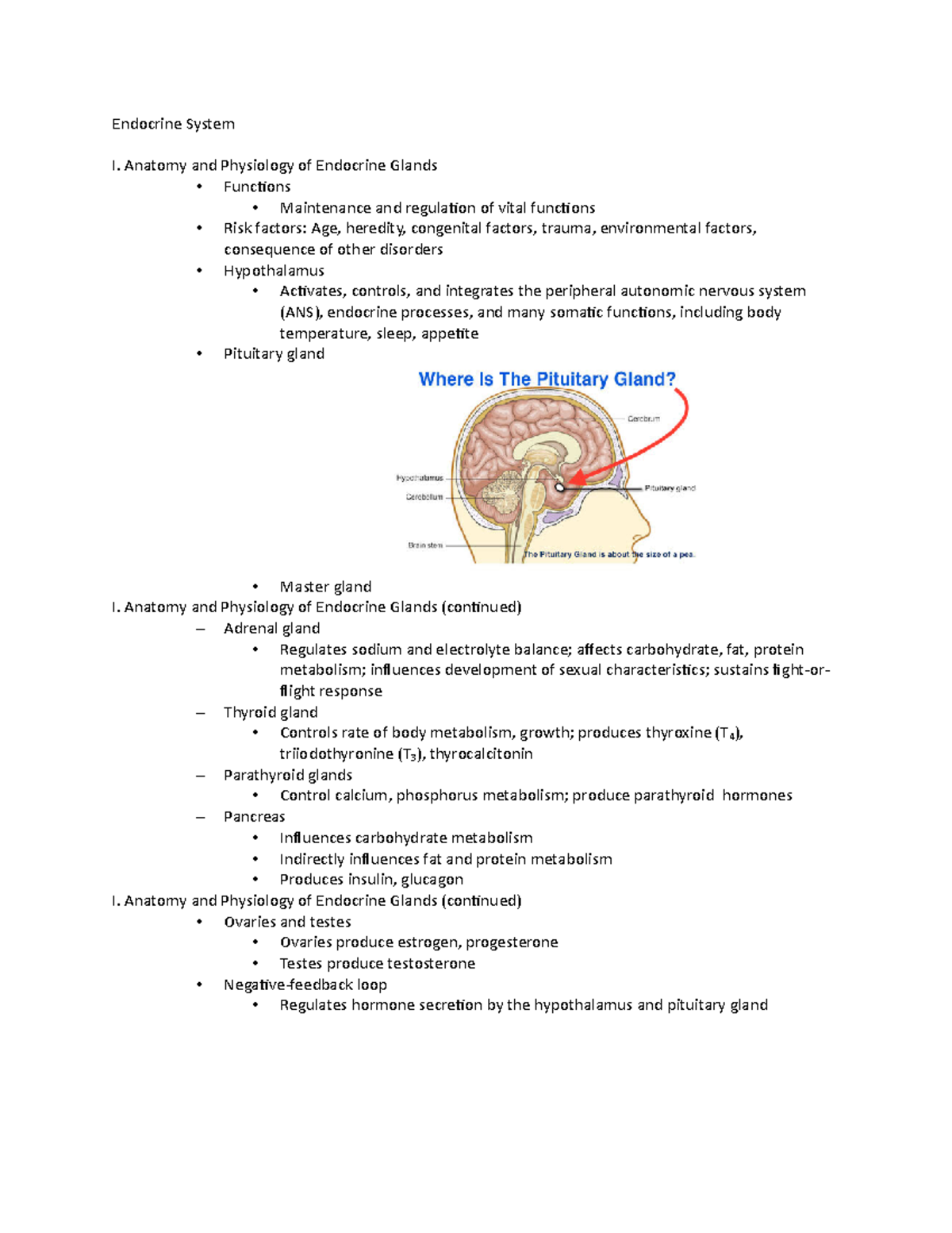 Endocrine System Notes - Endocrine System I. Anatomy and Physiology of ...