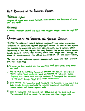 Chap 15 Special Senses Practice Exam Questions with answers - PRS ...