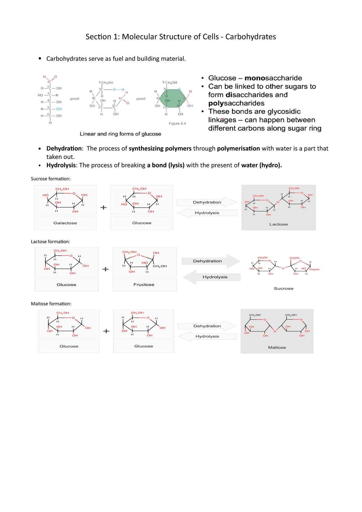 Lecture for week 1 - Section 1: Molecular Structure of Cells ...