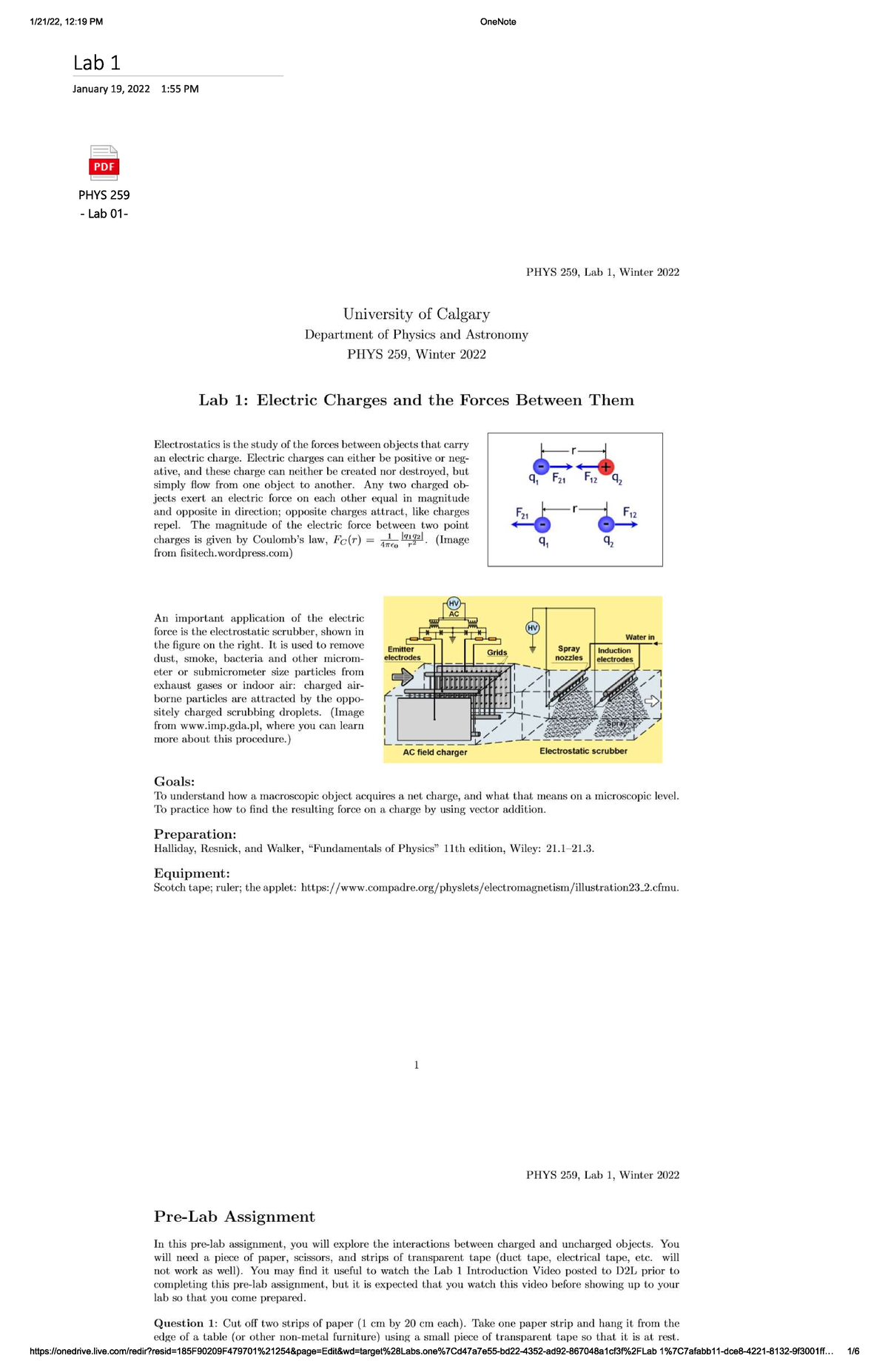 First Lab assignment, Electric Charges and Forces between them - PHYS ...