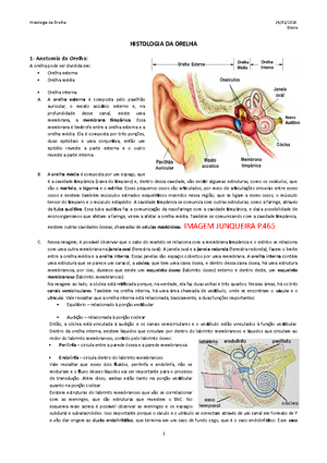 Digestorio embrio - APARELHO FARÍNGEO: Formado por sulcos, arcos ...