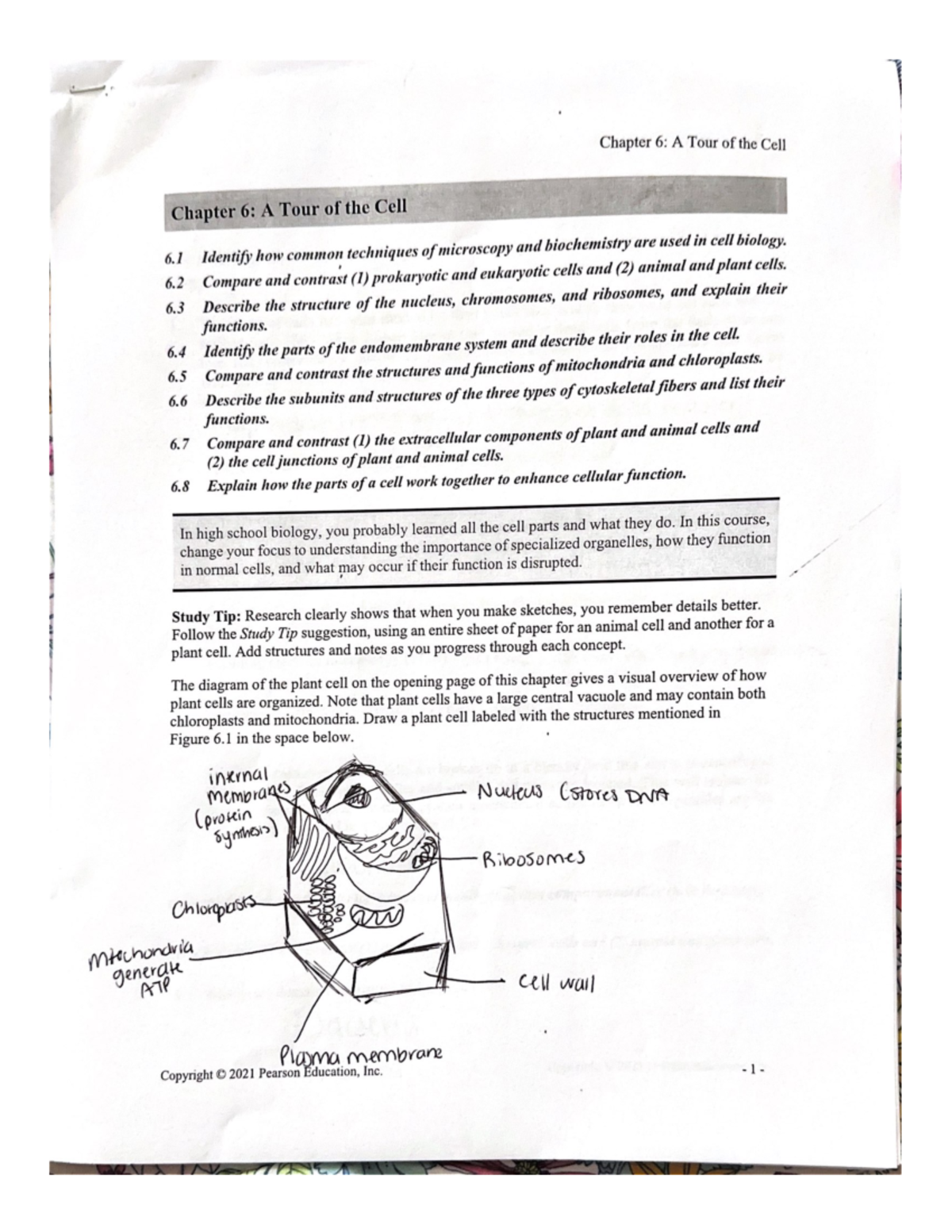 Chap 6 study material - textbook questions for chapter 6 of biology 1 ...