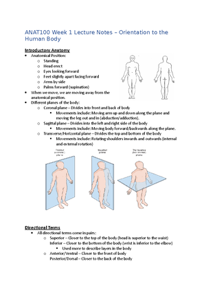 Anatomical foundations - TOPIC 1-6 - Resources: Textbook: Fundamentals ...