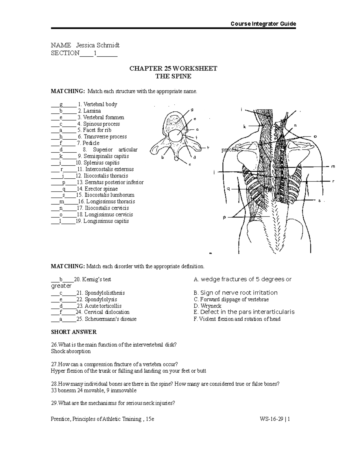 Prentice 15e worksheets Ch25 - Course Integrator Guide NAME Jessica ...