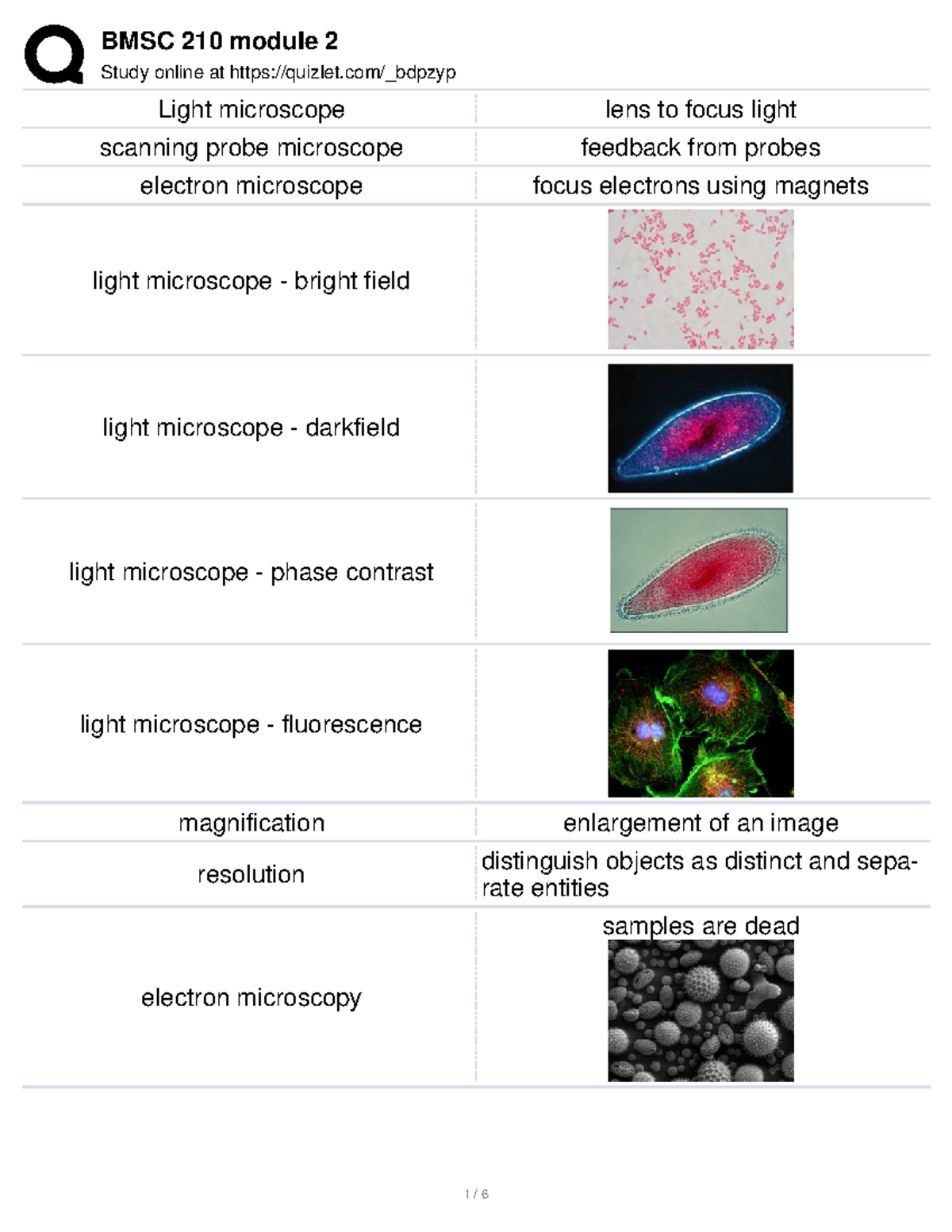 BMSC 210 module 2 flashcards - Study online at quizlet/_bdpzyp Light ...