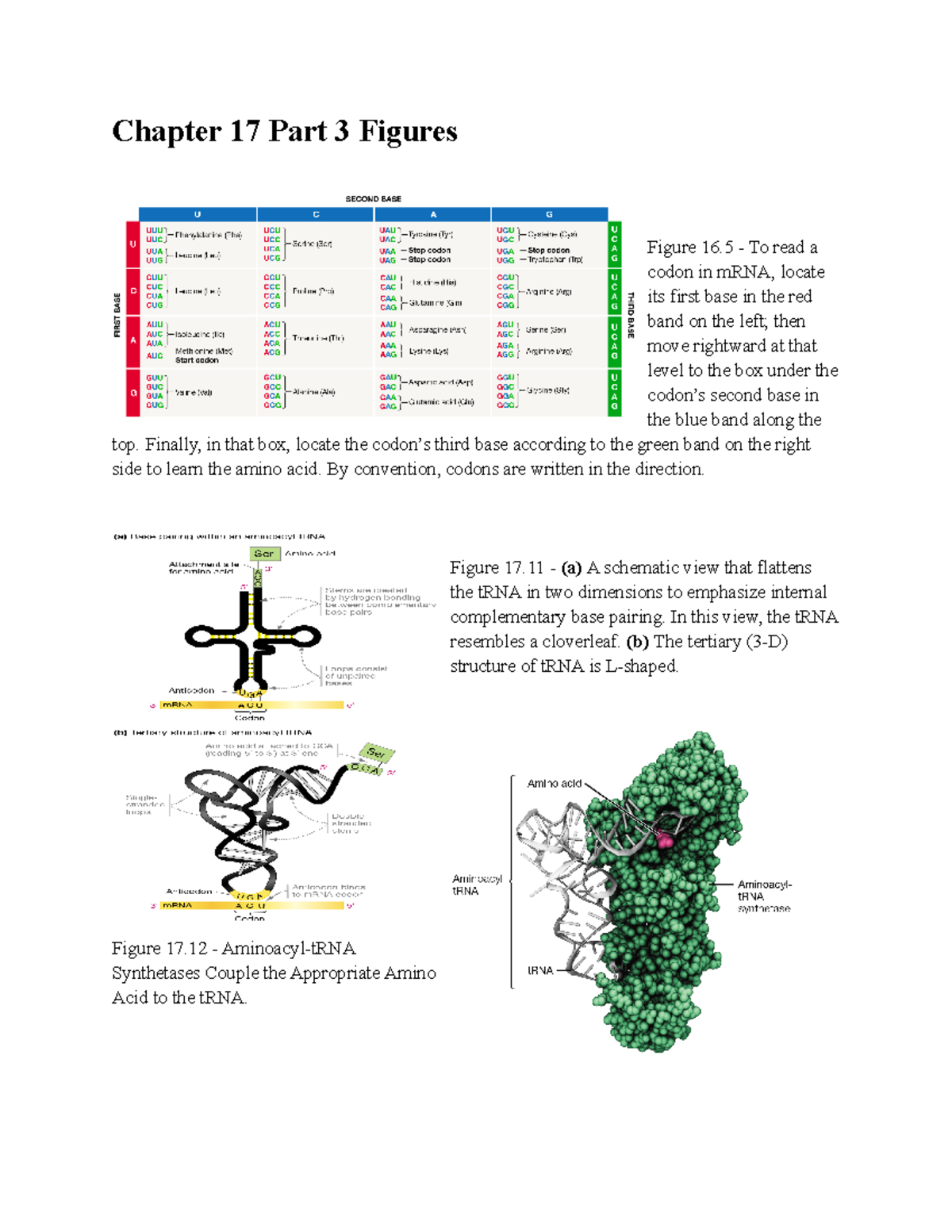 Figures for Exam 2 BISC207 UD BIO - Chapter 17 Part 3 Figures Figure 16 ...