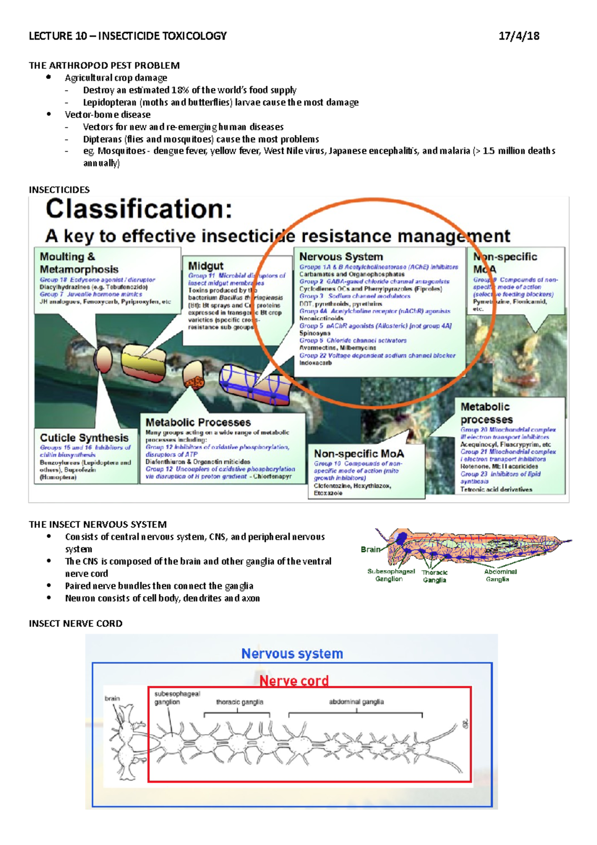 Lecture 10 – Insecticide Toxicology 17 - LECTURE 10 INSECTICIDE ...