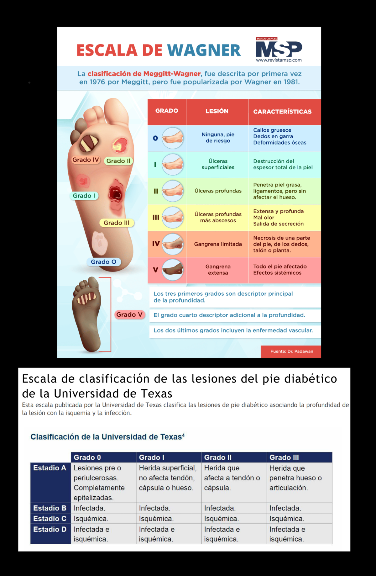 Escalas para Pie diabético - SOMOS CIENCIA ESCALA DE WAGNER MSP La ...