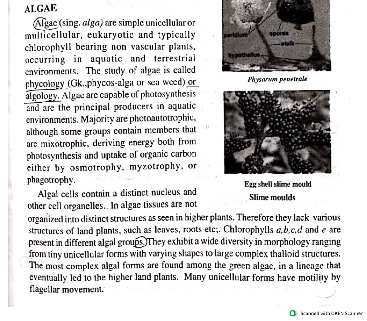 A survey of microorganisms - Algae - Bsc zoology - Studocu