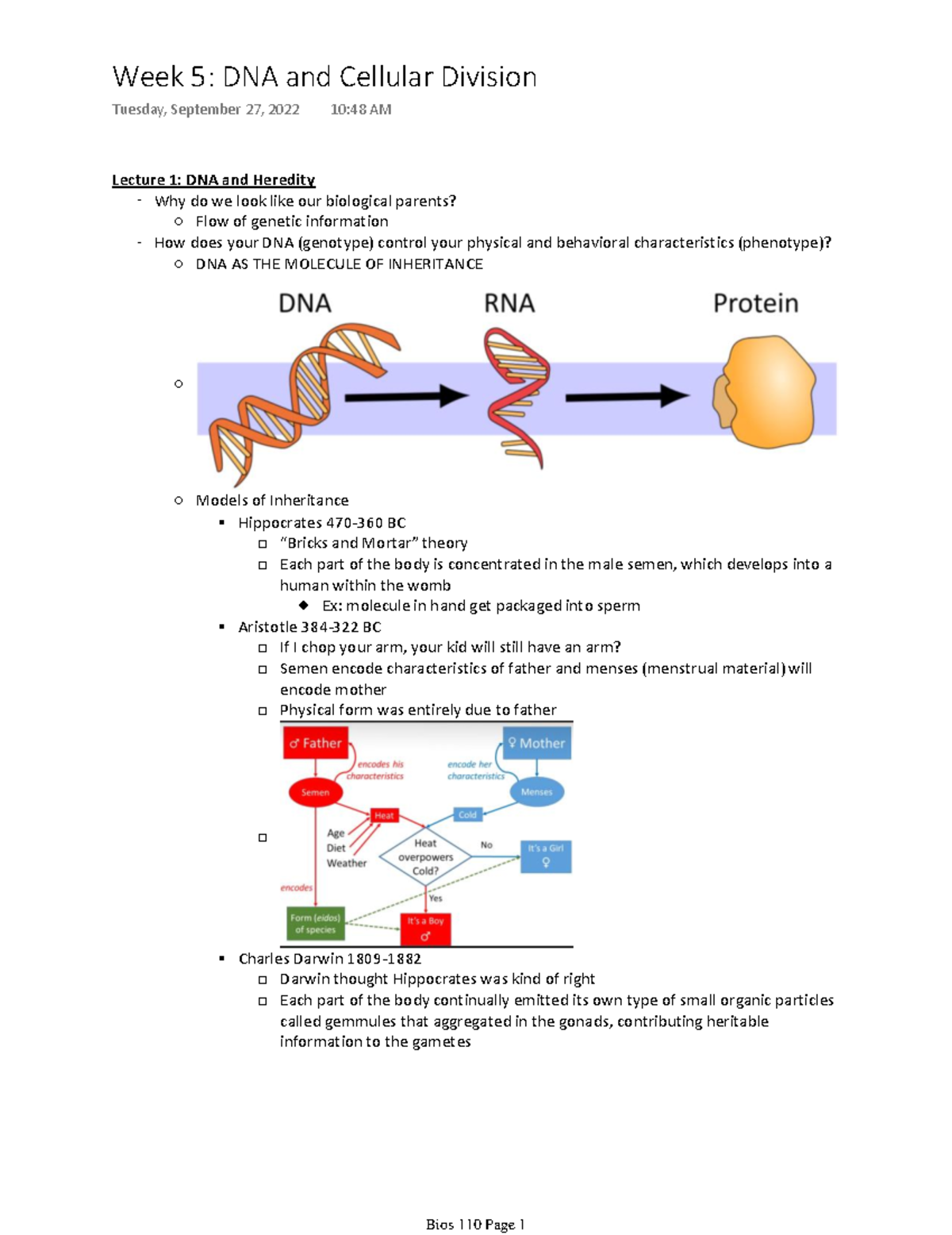 Bios 110 Week 4 pt 2 - Bios 110 Cells and Organism Notes - Lecture 1 ...