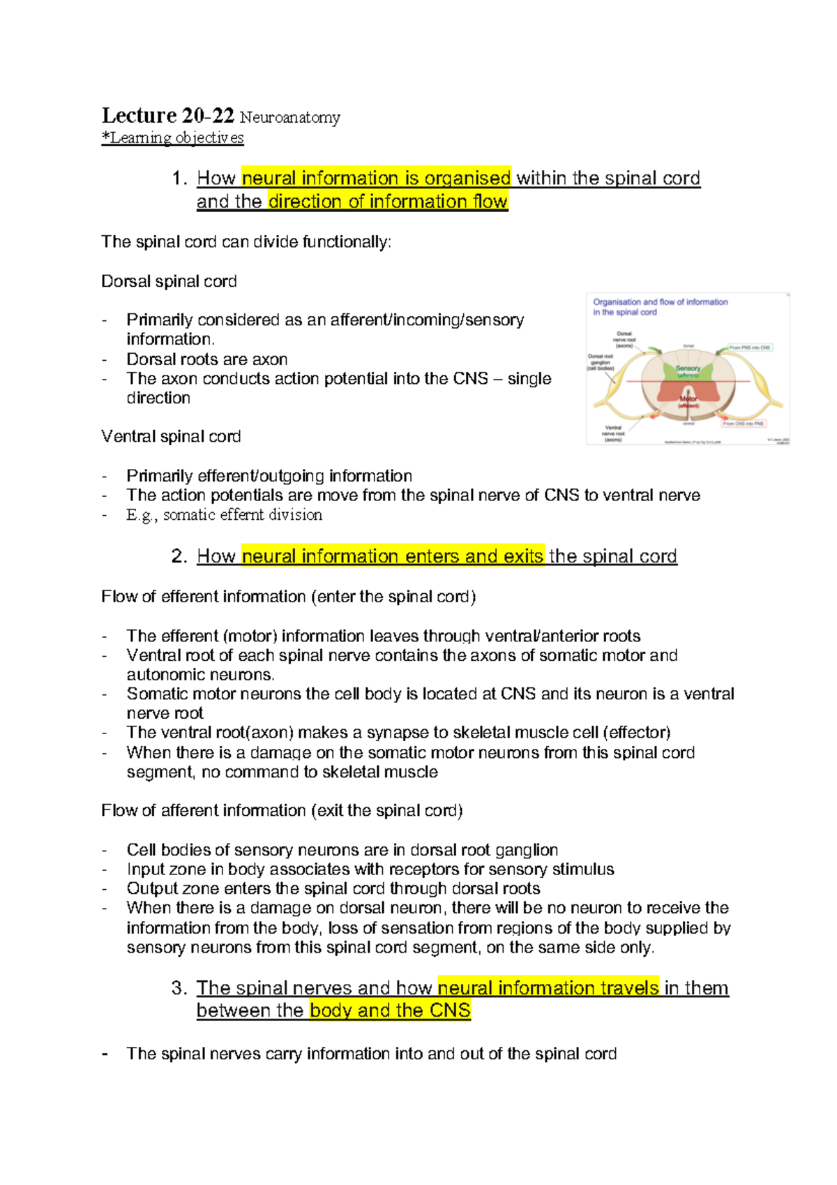 HUBS191 Lecture 20-22 Neuroanatomy - Lecture 20-22 Neuroanatomy ...