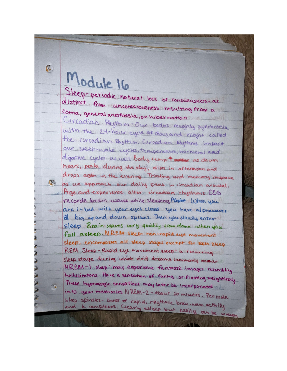 Module 16 - Explains the types of sleep and how bodies cycle through ...