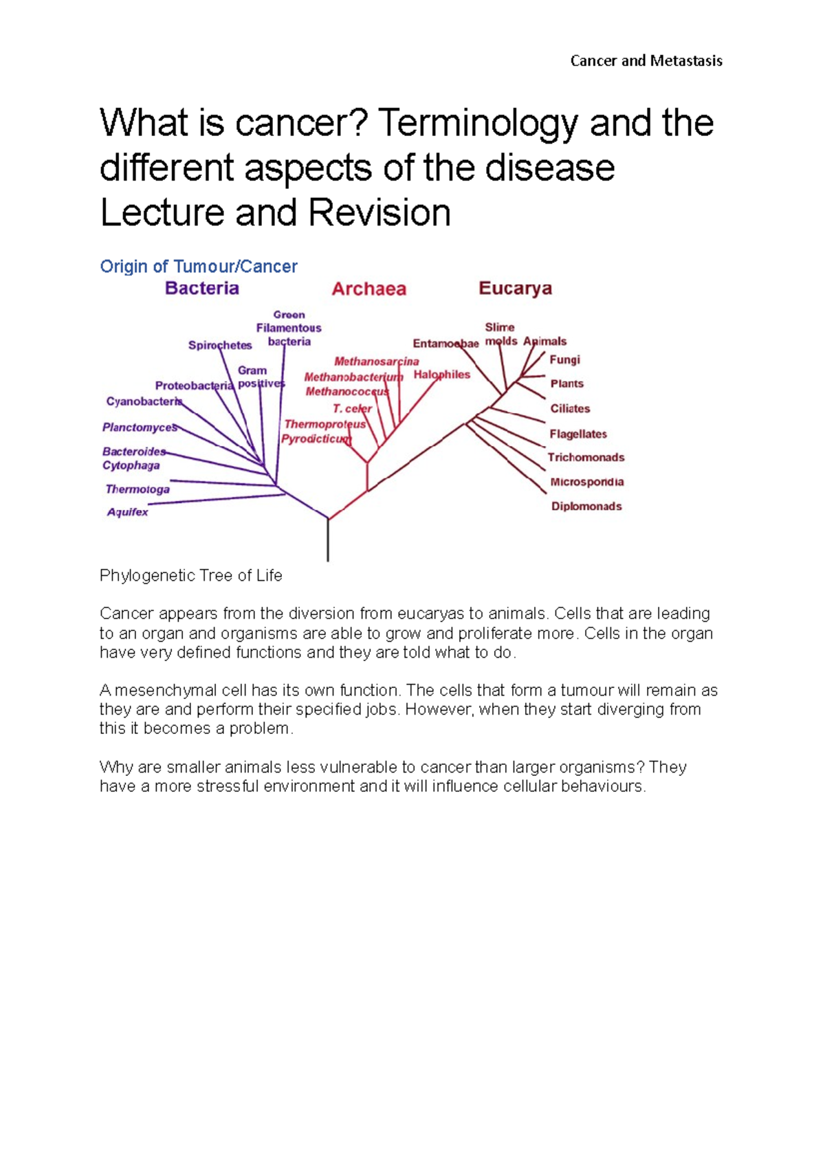 What is cancer Lecture and Revision - Cancer and Metastasis What is ...