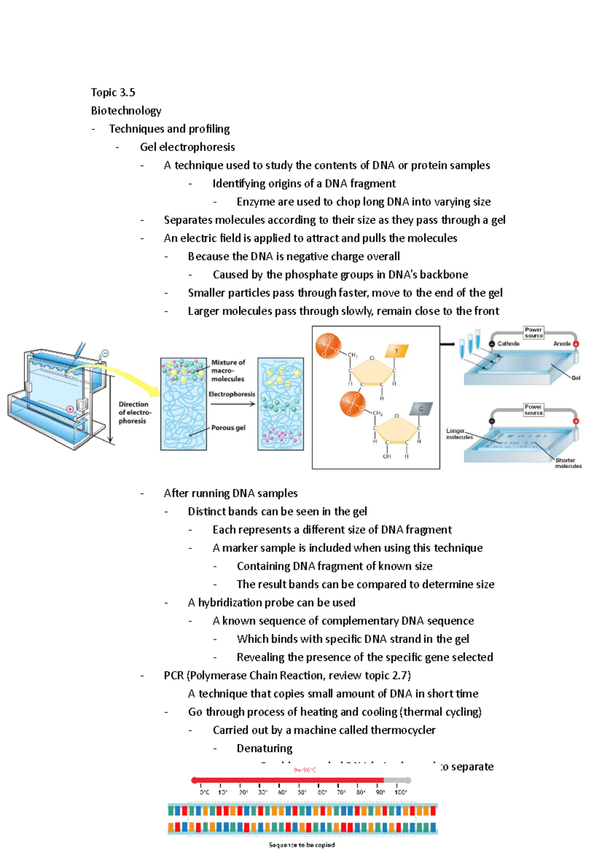 Topic 3 - Topic 3. Biotechnology Techniques and profiling Gel ...