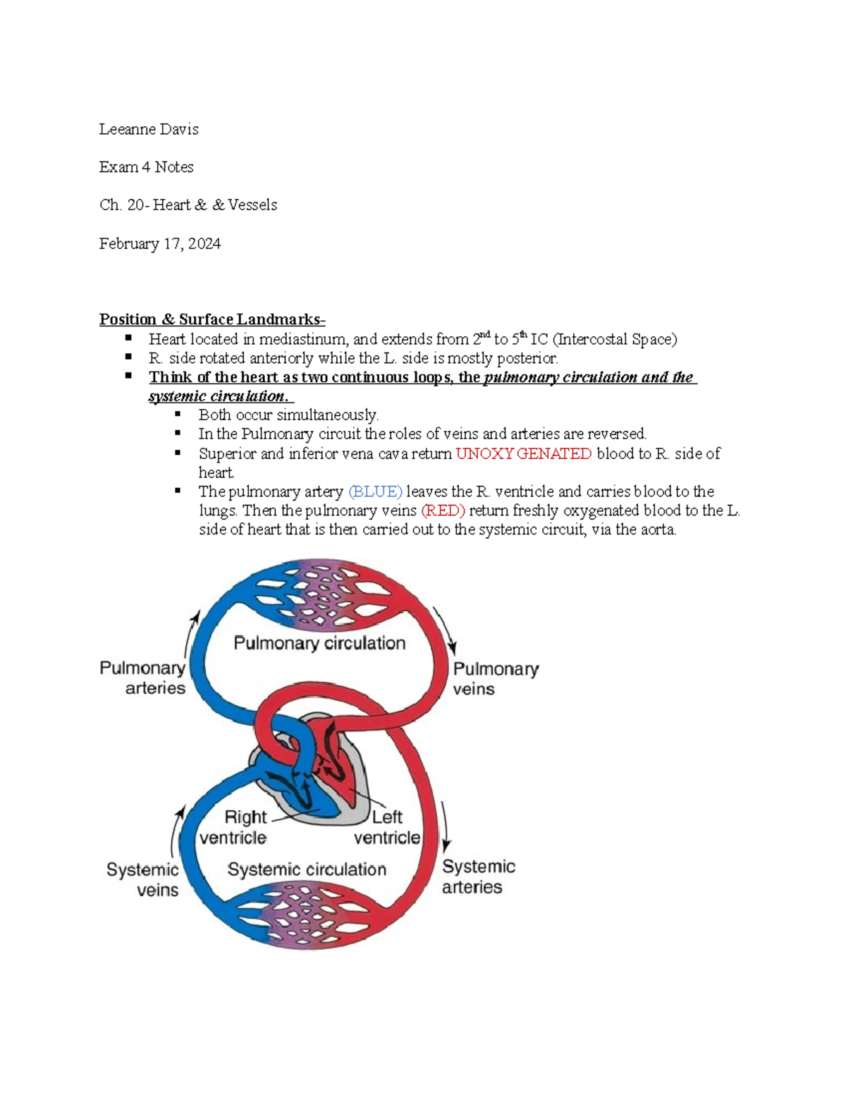 Ch 20 Heart ^0 Blood vessels - Leeanne Davis Exam 4 Notes Ch. 20- Heart ...