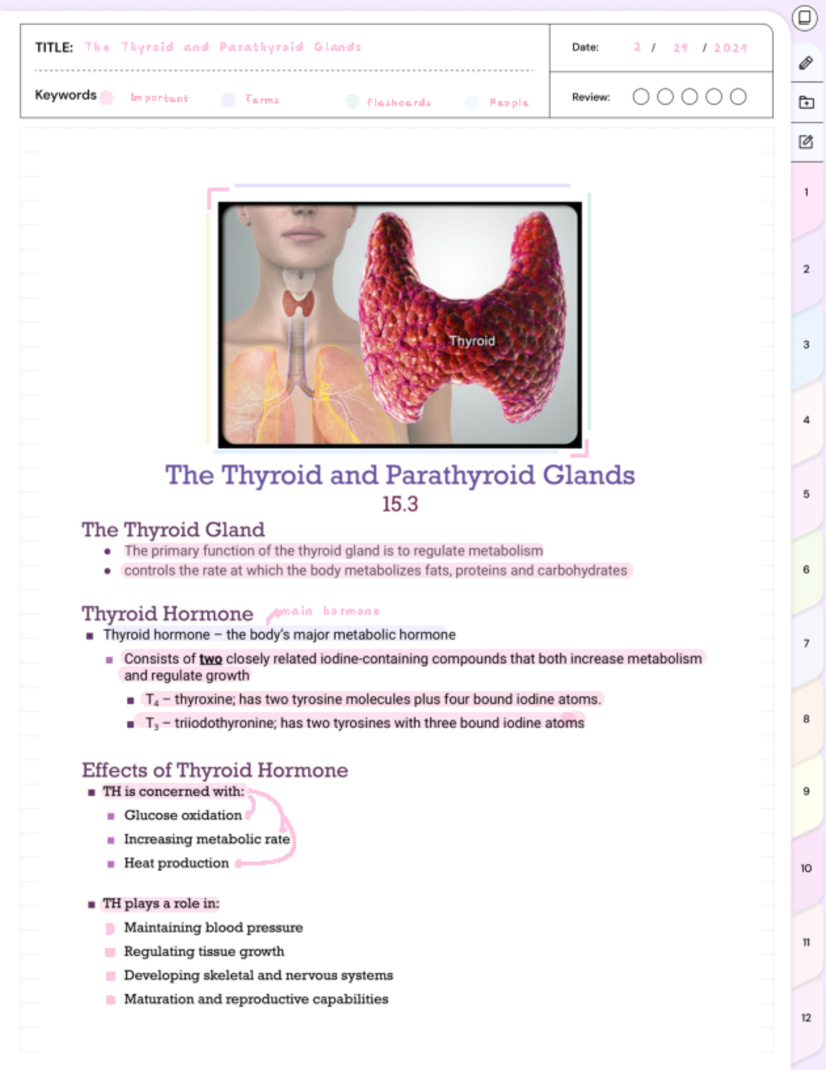 Biology 31 - Notes - Important Terms Flashcards People The Thyroid and ...