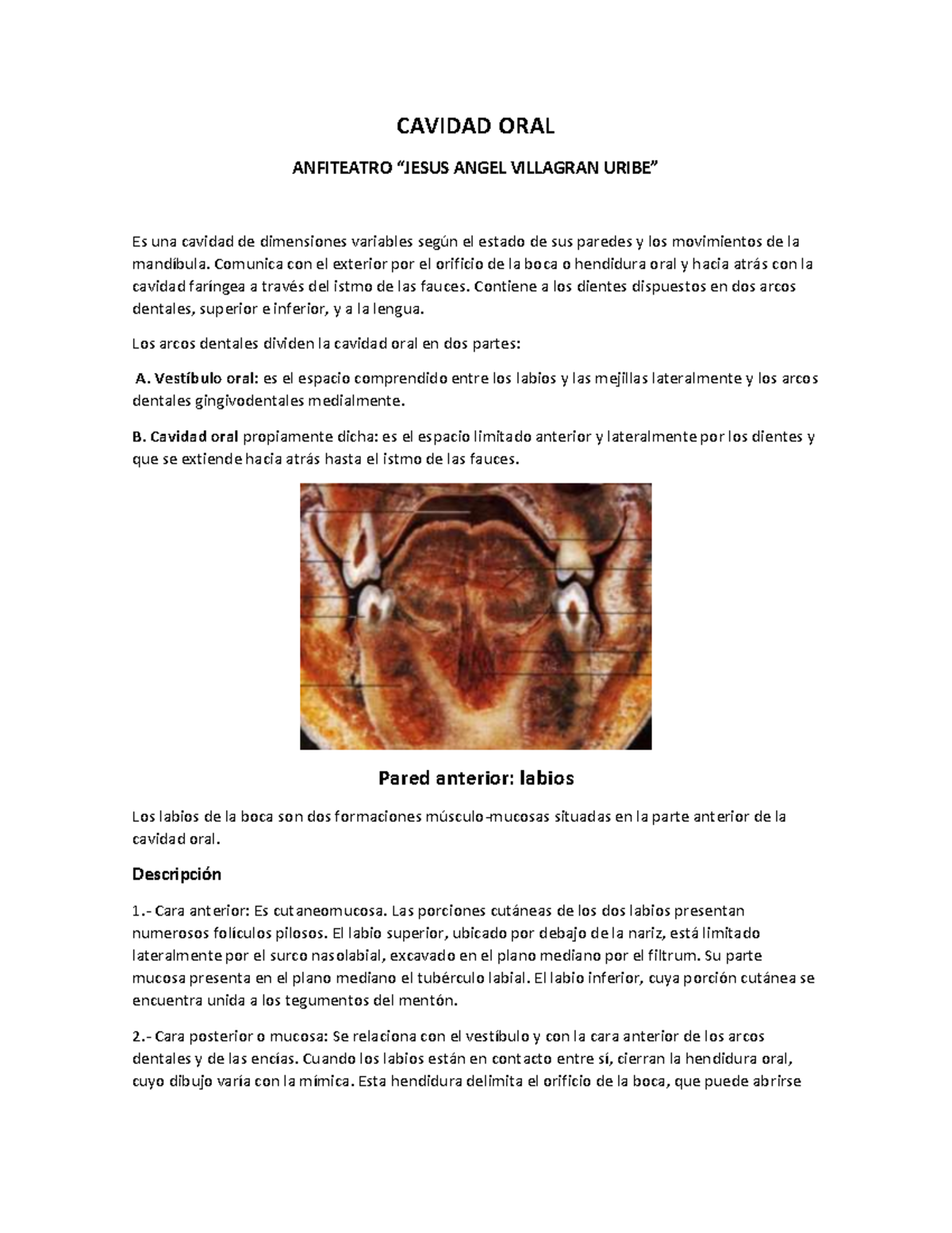 Cavidad ORAL 2 - .... - CAVIDAD ORAL ANFITEATRO “JESUS ANGEL VILLAGRAN ...