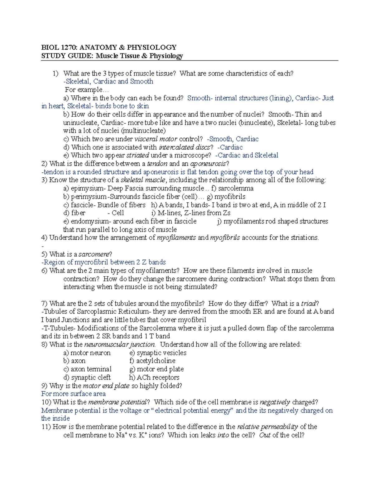 10-muscle tissue & physiology (study guide) - BIOL 1270: ANATOMY ...