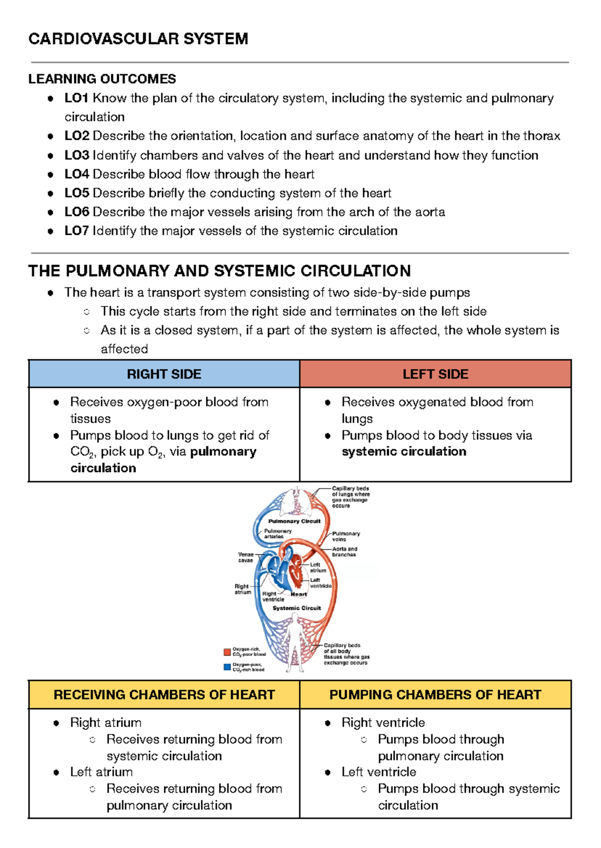 UNSW ANAT1521 2022 Lecture 3 - CARDIOVASCULAR SYSTEM LEARNING OUTCOMES ...