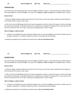 Cell Cycle Worksheet - Cell Cycle Activity Name ...