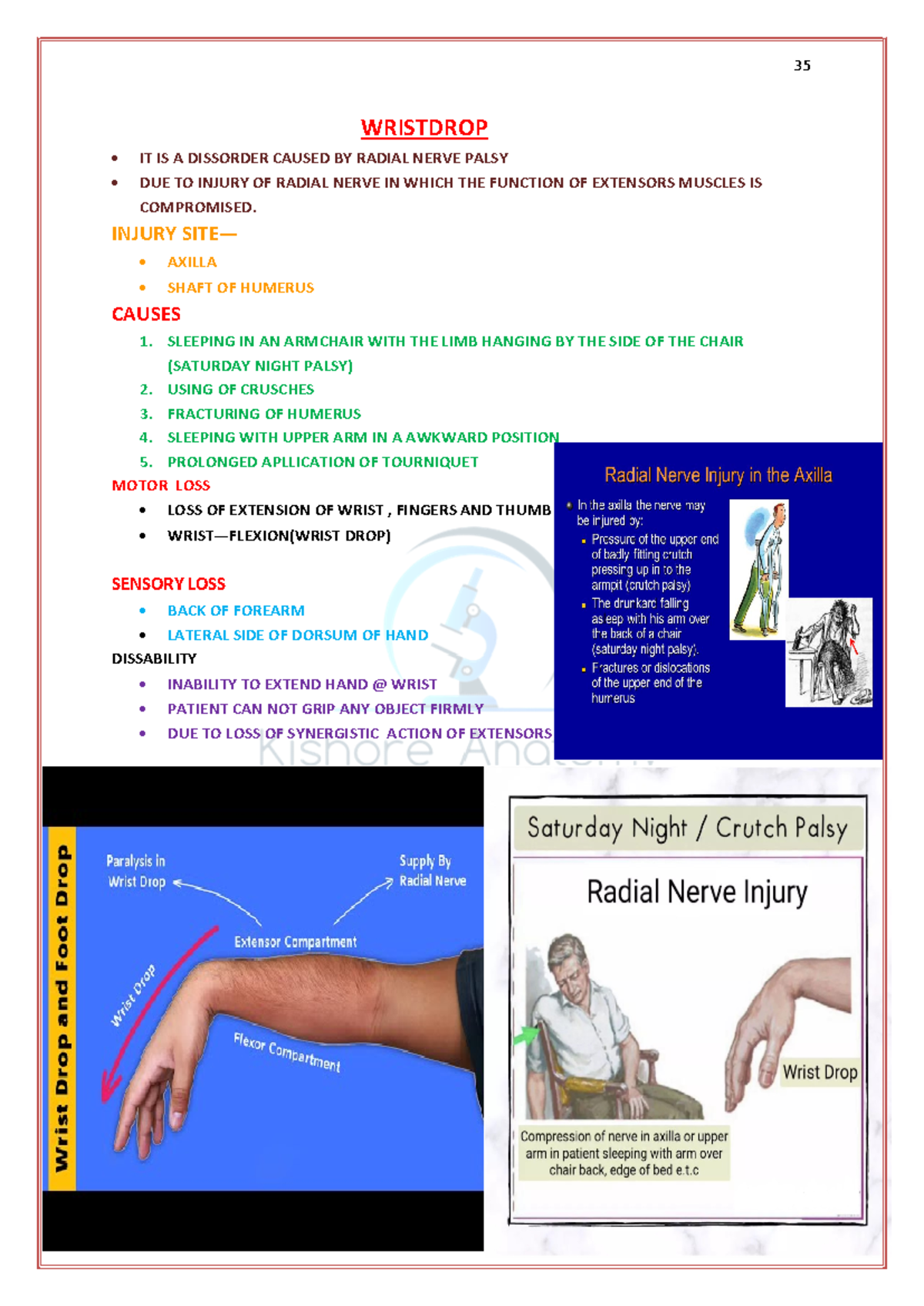 Wrist drop - 35 WRISTDROP IT IS A DISSORDER CAUSED BY RADIAL NERVE ...