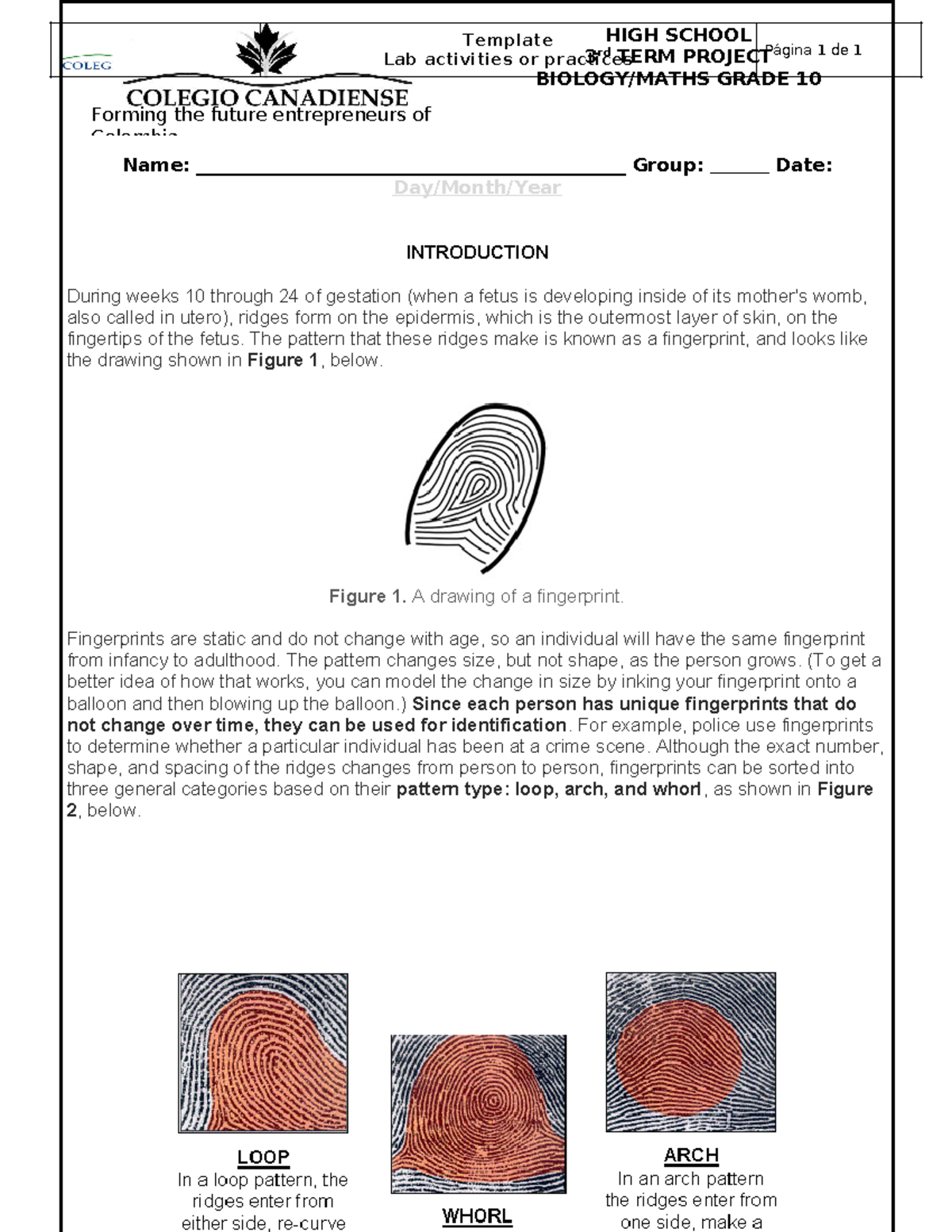 Final Project Are finger prints patterns inherited - Template Lab ...