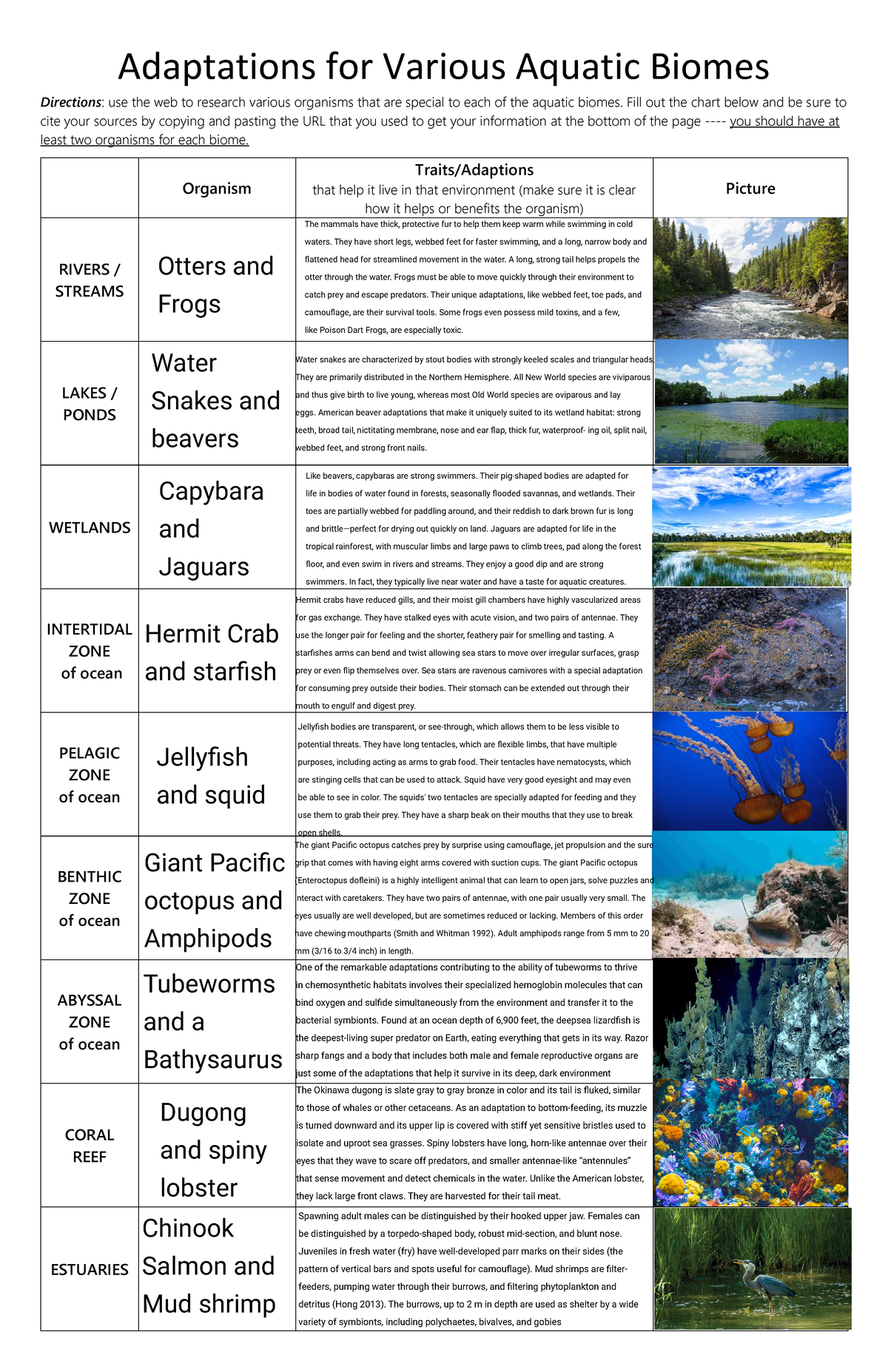 Adaptations for Various Aquatic Biomes - Adaptations for Various ...