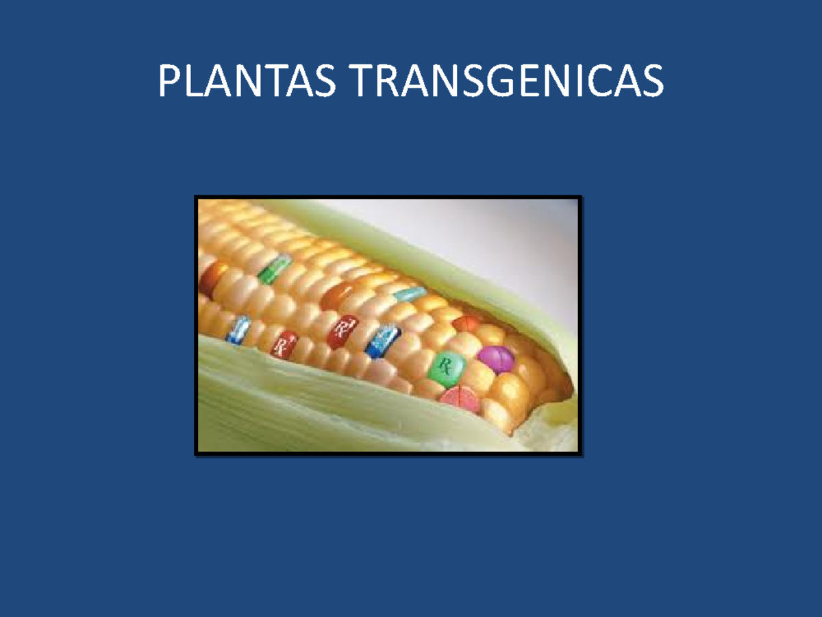 Apuntes, Plantas Transgenicas - PLANTAS TRANSGENICAS Aplicaciones de la ...