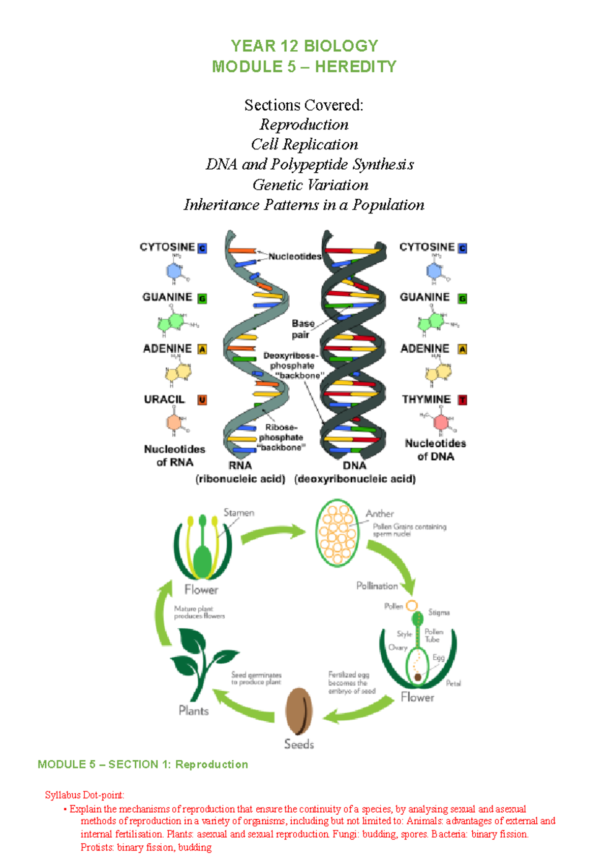 Year 12 Bio Notes (Created by Etho x - BOS) (1) - YEAR 12 BIOLOGY ...