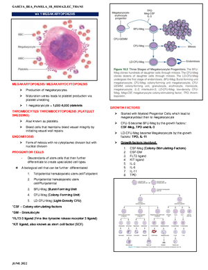 Qdoc - Hematology - Medical Technology Board Exam Reviewer 16 ...