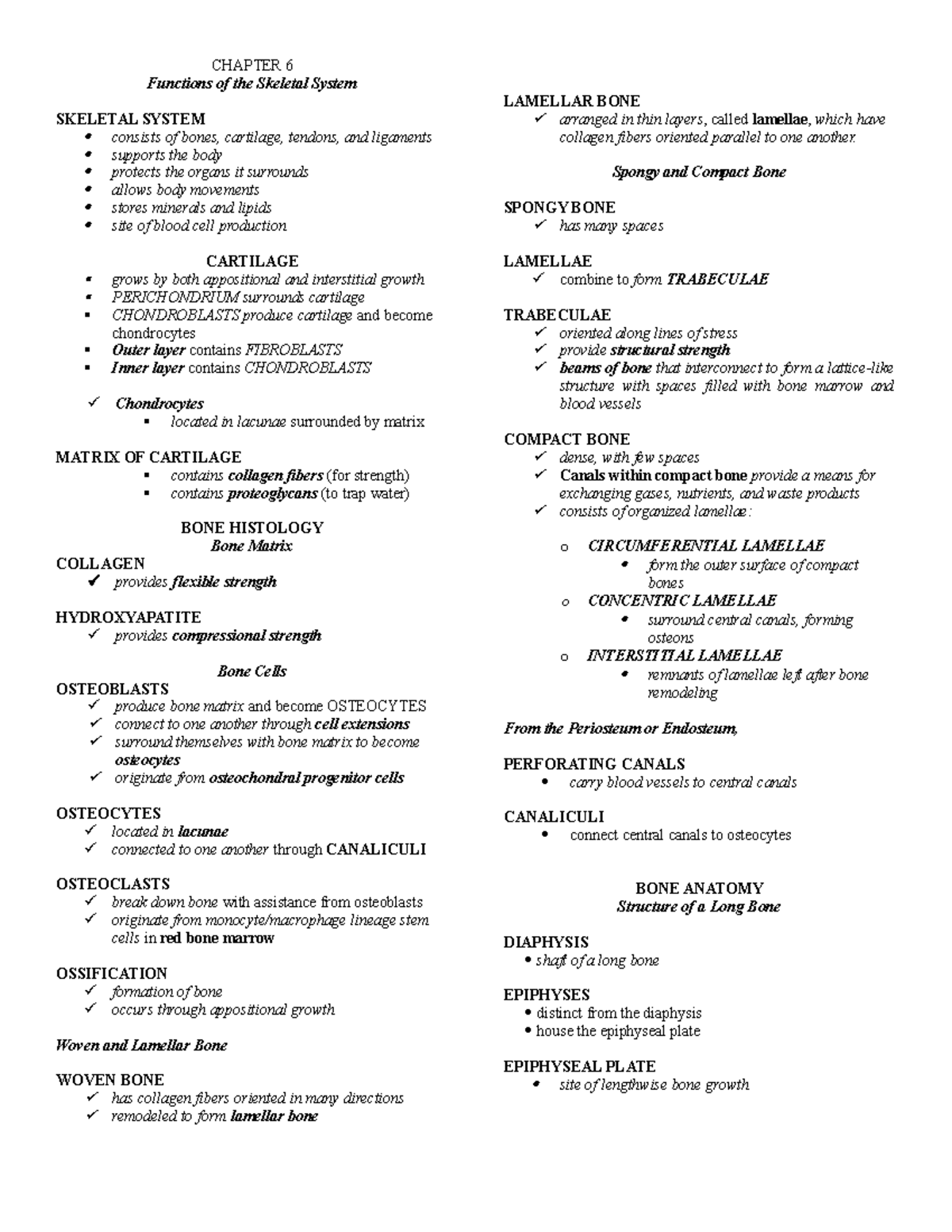 Chapter 6 - anatomy and physiology - BSMLS - Studocu