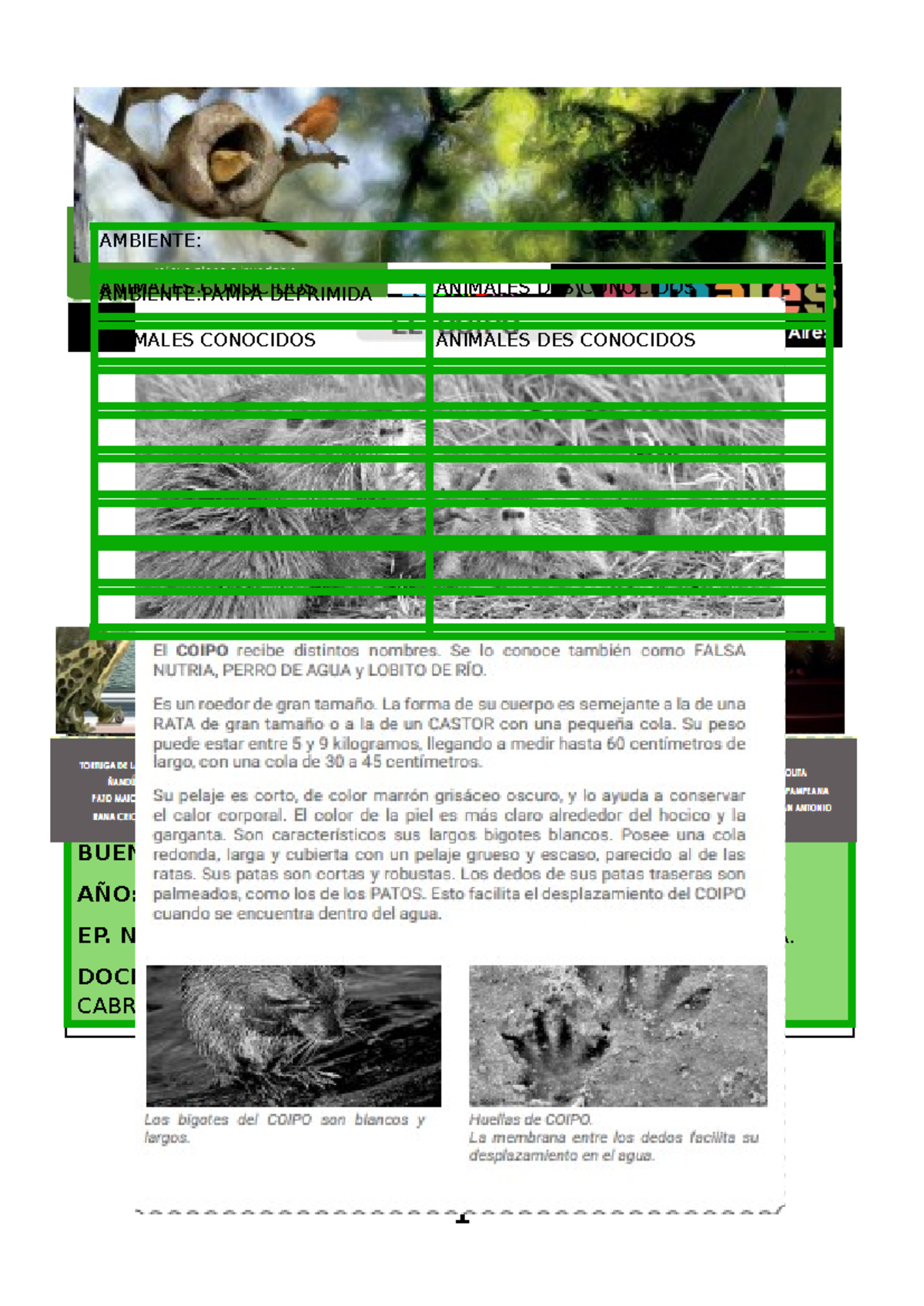 Cuadernillo LEER Y Escribir CON Animales DE LA Provincia DE BS ...