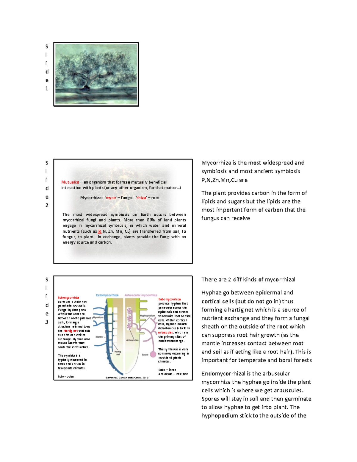 Plant bio lec 12 - Biodiversity to Biotechnology Lecture note, Lecture 12. - S l i d e 1 S l i d ...