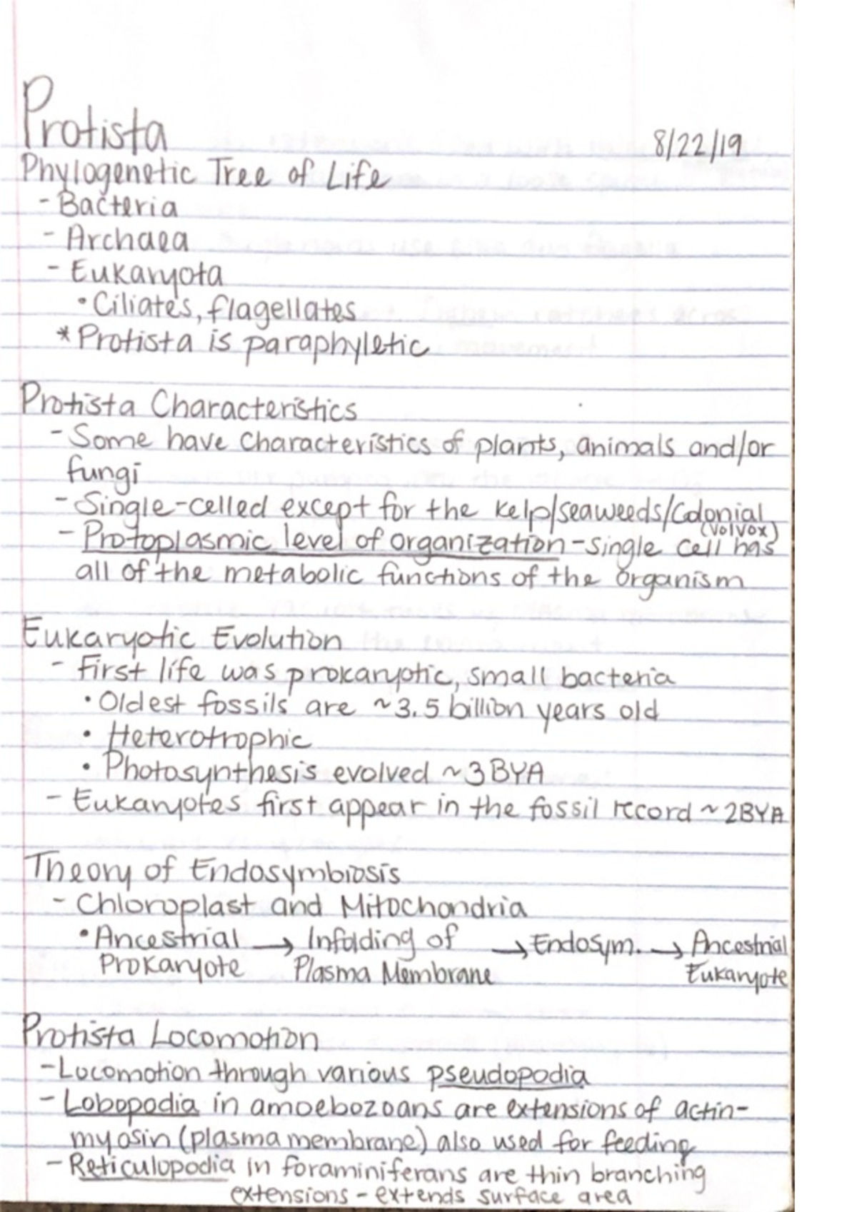 Bio 2.2 lab pt1 - Lab notes - BIO 2.2 - Studocu
