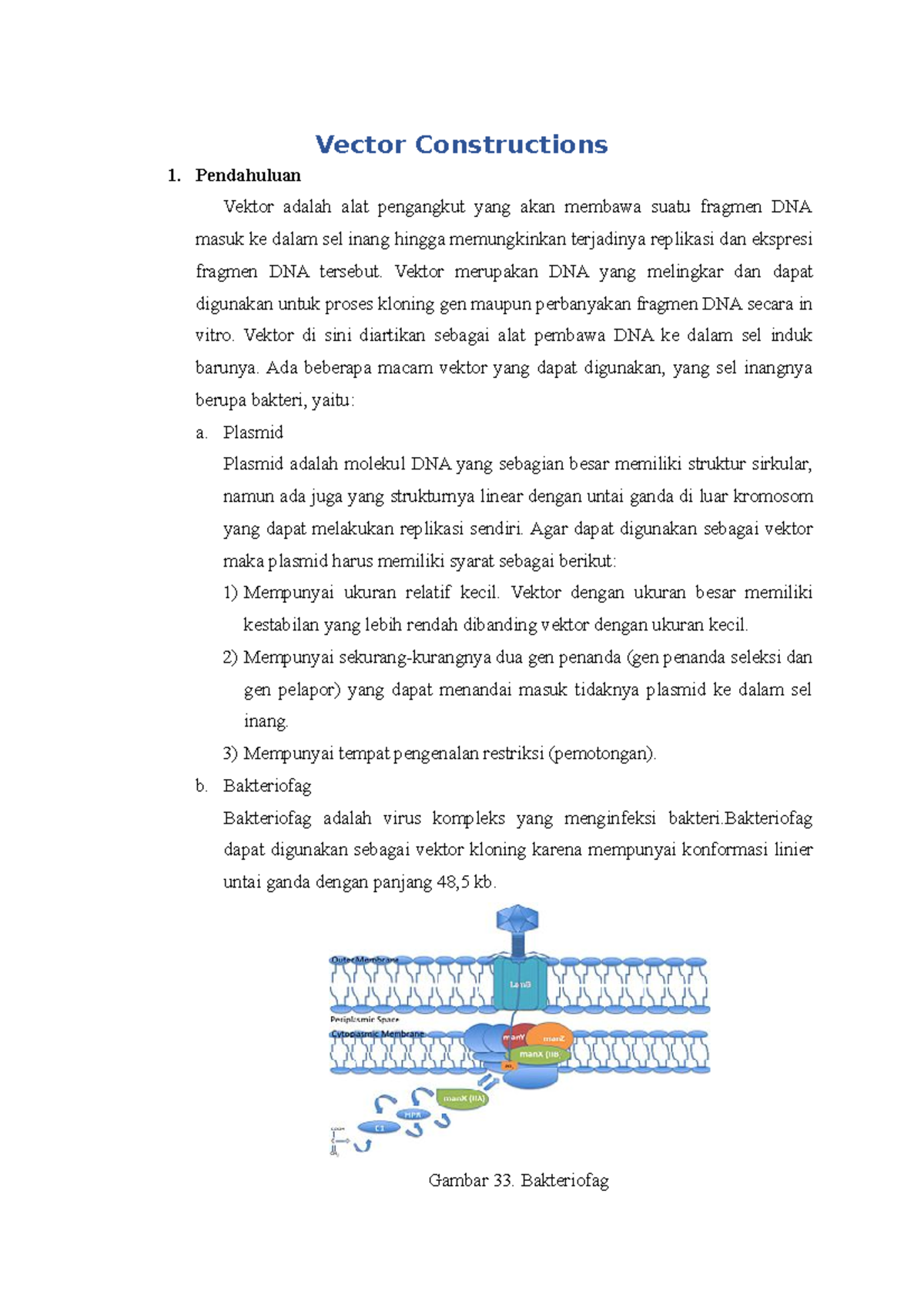 05. Vector Constructions - Vector Constructions Pendahuluan Vektor ...