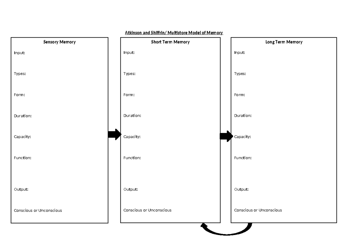 Multistore Model of Memory Flow Chart - Atkinson and Shiffrin ...