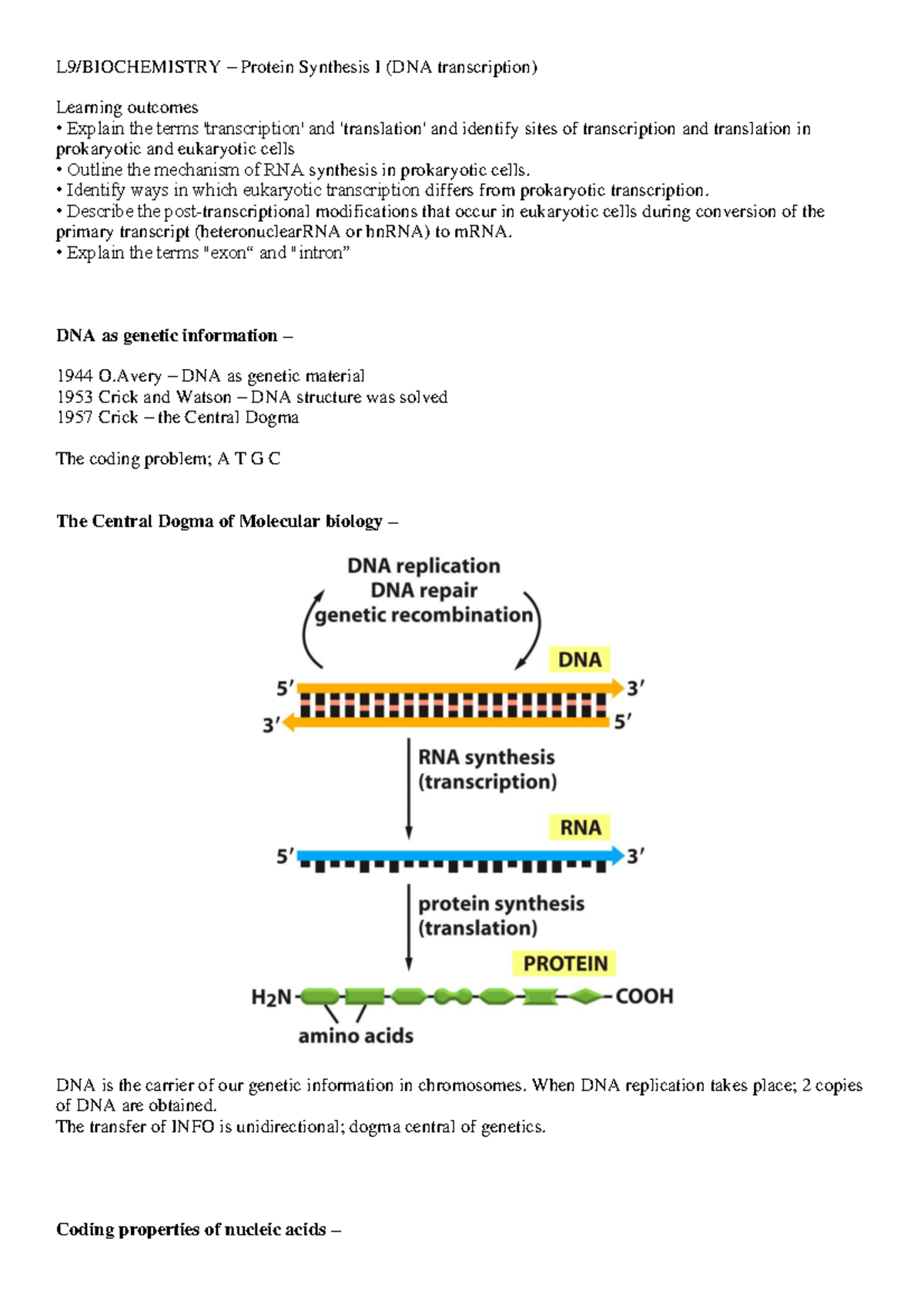 L9 - lecture 9 notes - L9/BIOCHEMISTRY – Protein Synthesis I (DNA ...