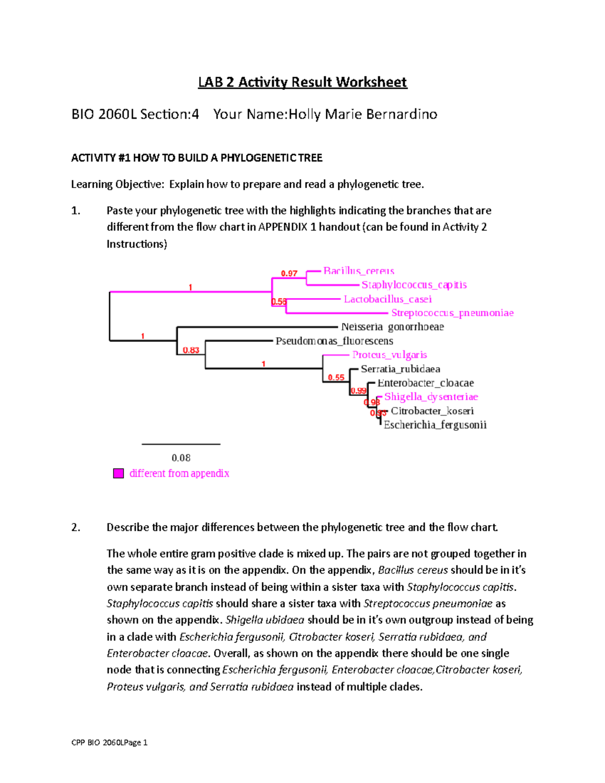 BIO2060L Lab 2 Phylogenetic Tree Activity Sheet - LAB 2 Activity Result ...