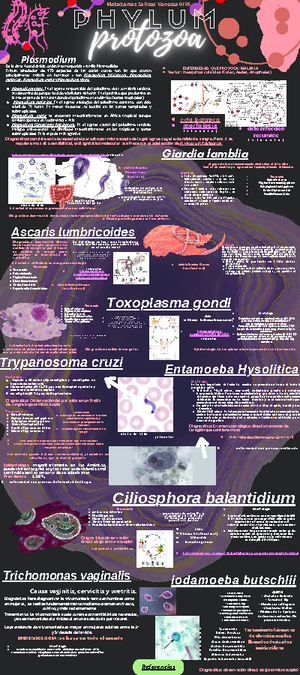 Nematodos - Onchorceca Vulvus Ascaris lumbricoides Dioicos, adultos de ...