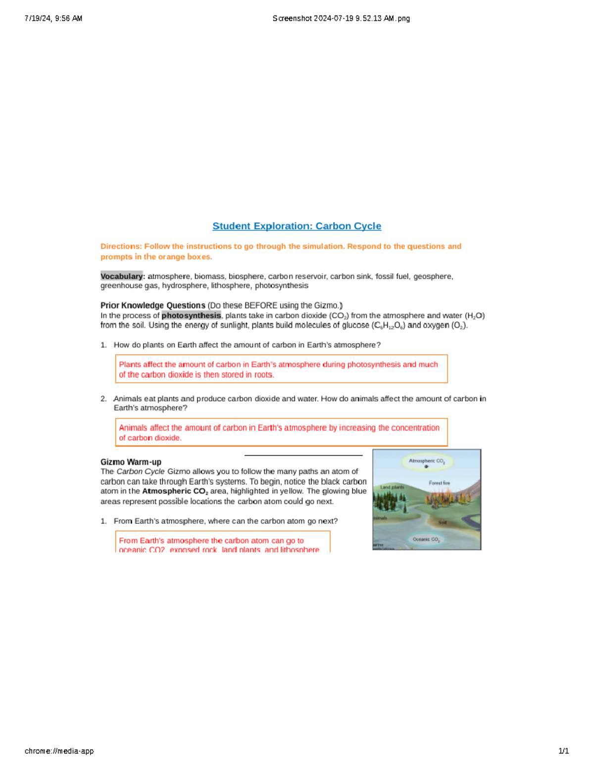 Student exploration Carbon Cycle Simulation Virtual Gizmo Answer key ...