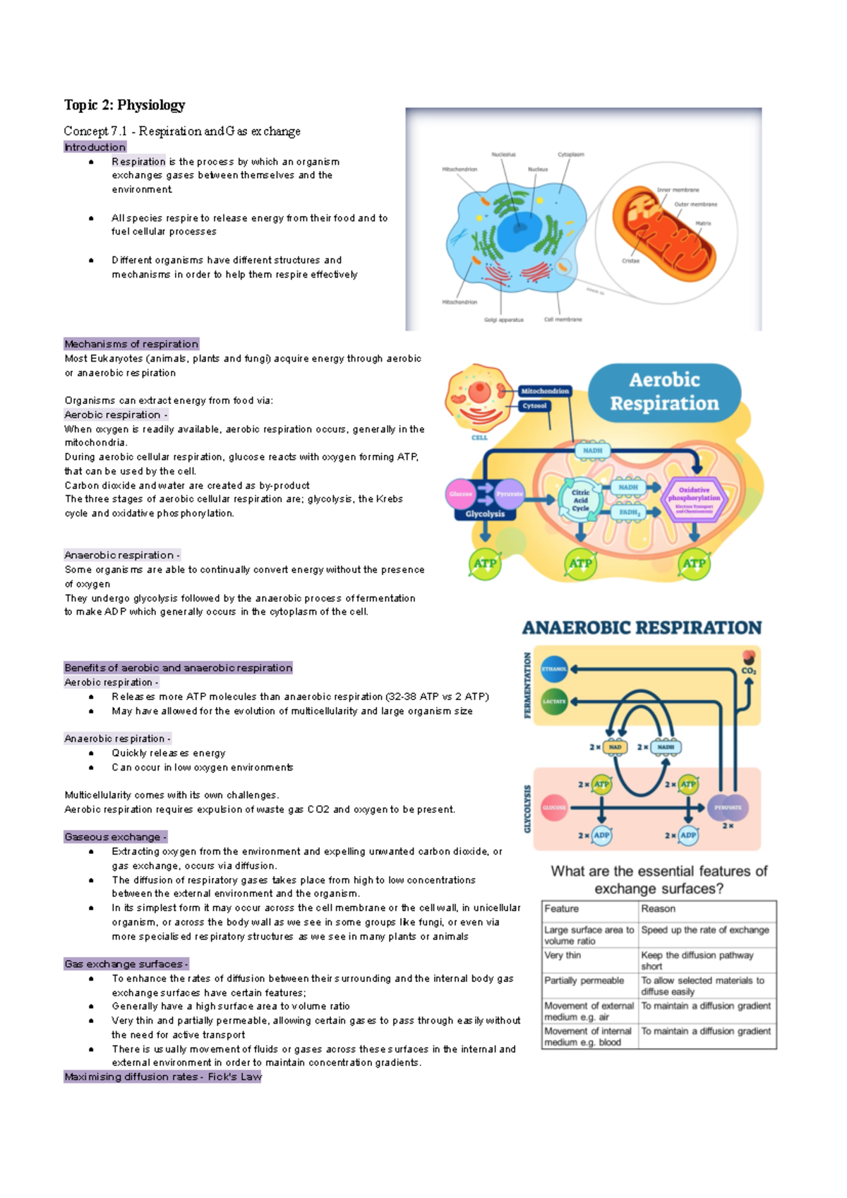 Topic 2 BIOL10010 notes - Topic 2 : Physiology Concept 7. 1 ...