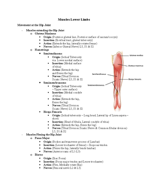 Major Bony Landmarks Worksheet - Applied Anatomy, Physiology and ...