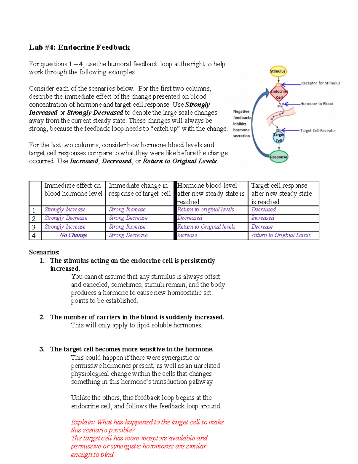 Lab 3 Endocrine Lab Sheet - Lab #4: Endocrine Feedback For questions 1 ...